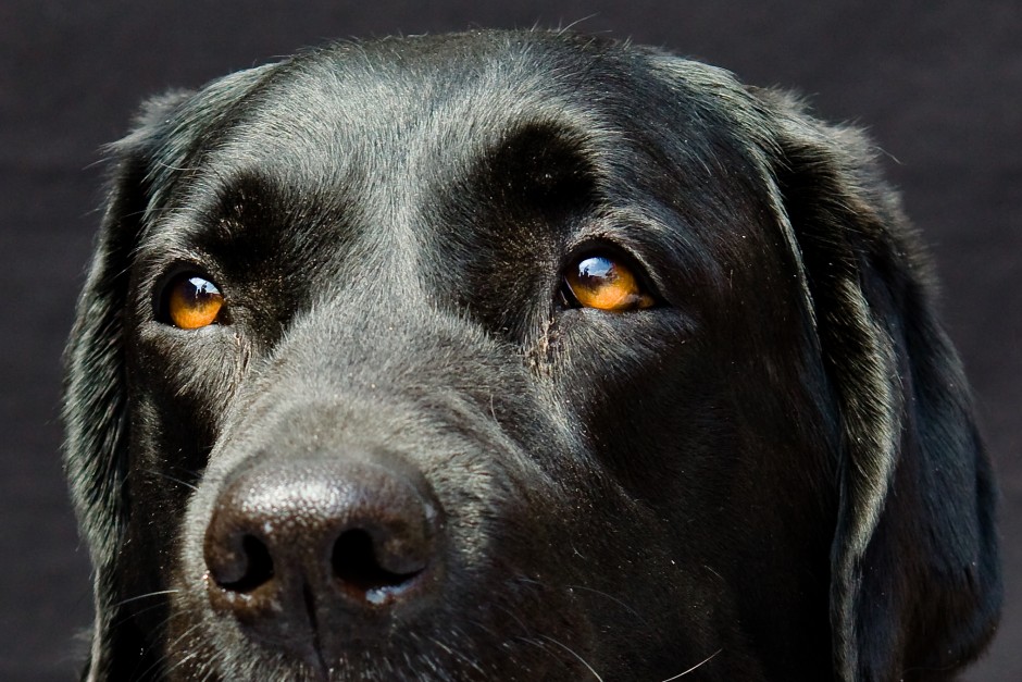 Thomas Orth › PAGE online