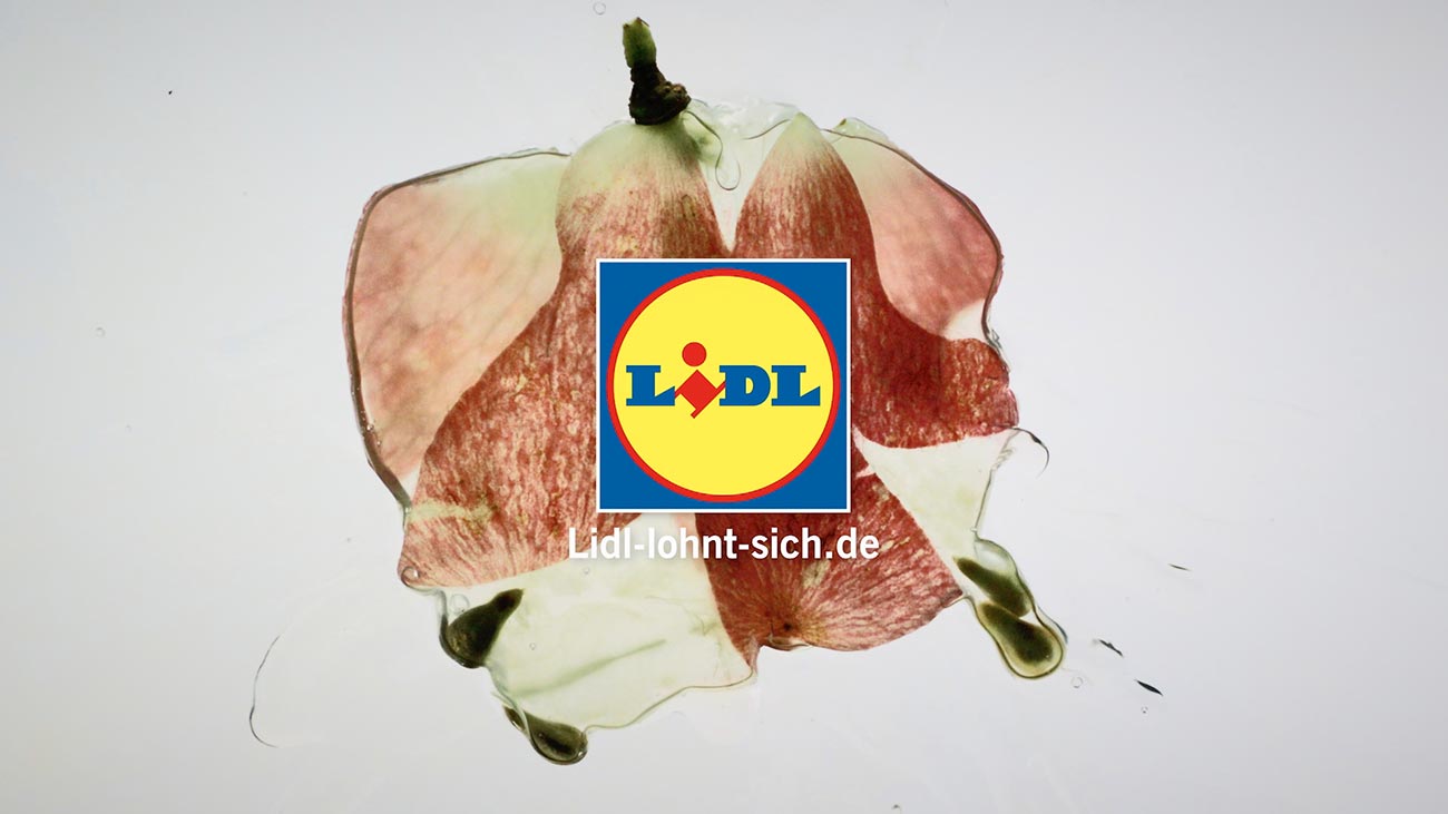 Lidl Kampagne › PAGE online