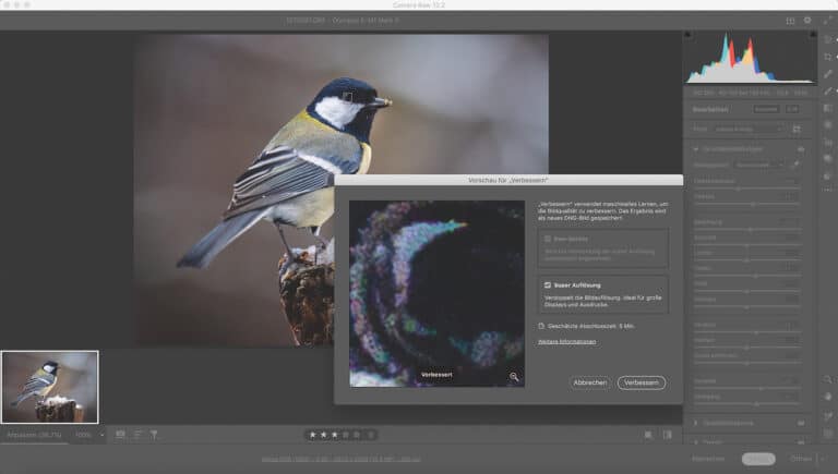 Photoshop: Neue Version mit Interpolationsverfahren › PAGE online
