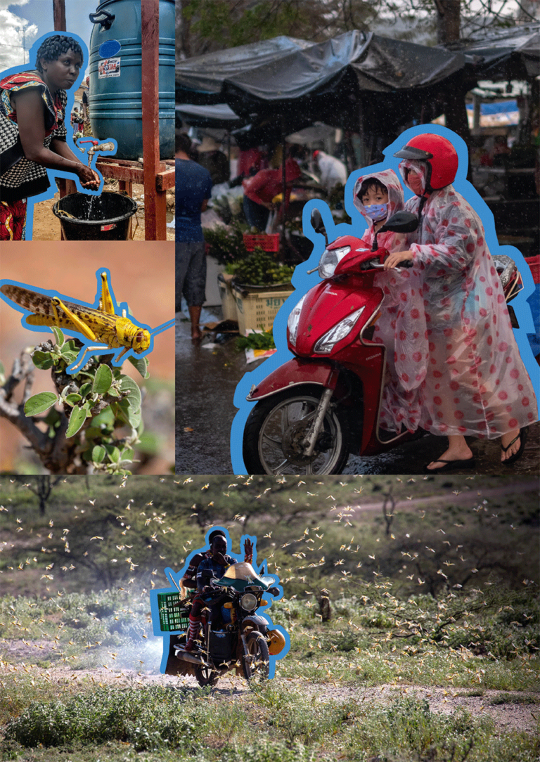 Raster in Layouts: So funktionieren Gestaltungraster › PAGE online