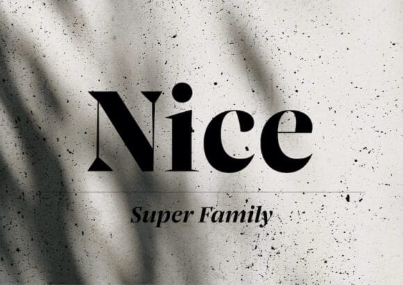 Ziemlich nett: Serifenschrift Nice › PAGE online