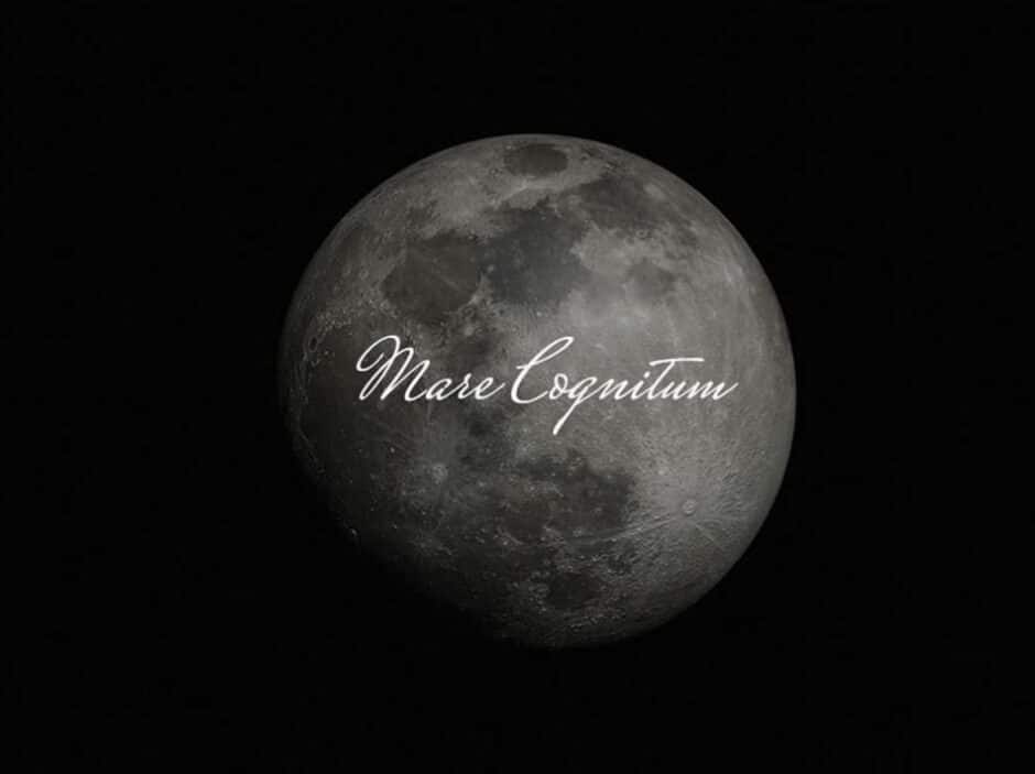 MARE COGNITUM › PAGE online