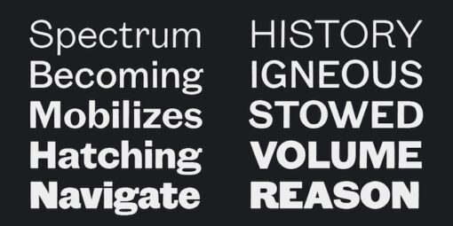 Serifenlose Community Gothic › PAGE online