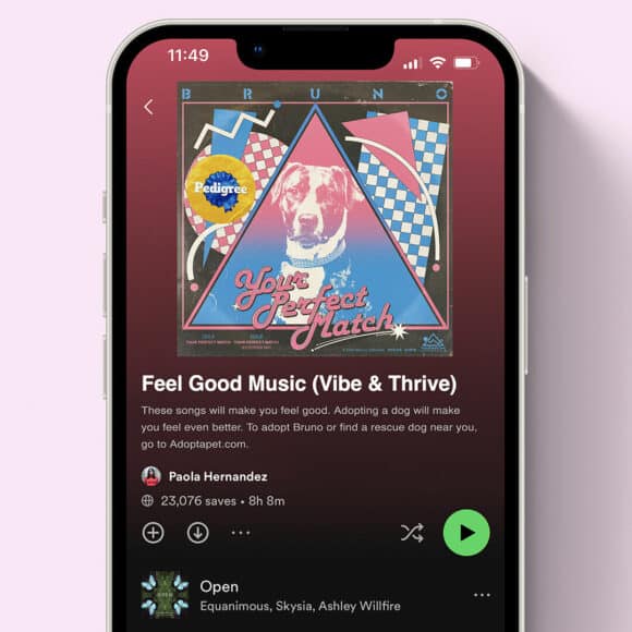 Feel-Good Cover Art für Pedigree › PAGE online