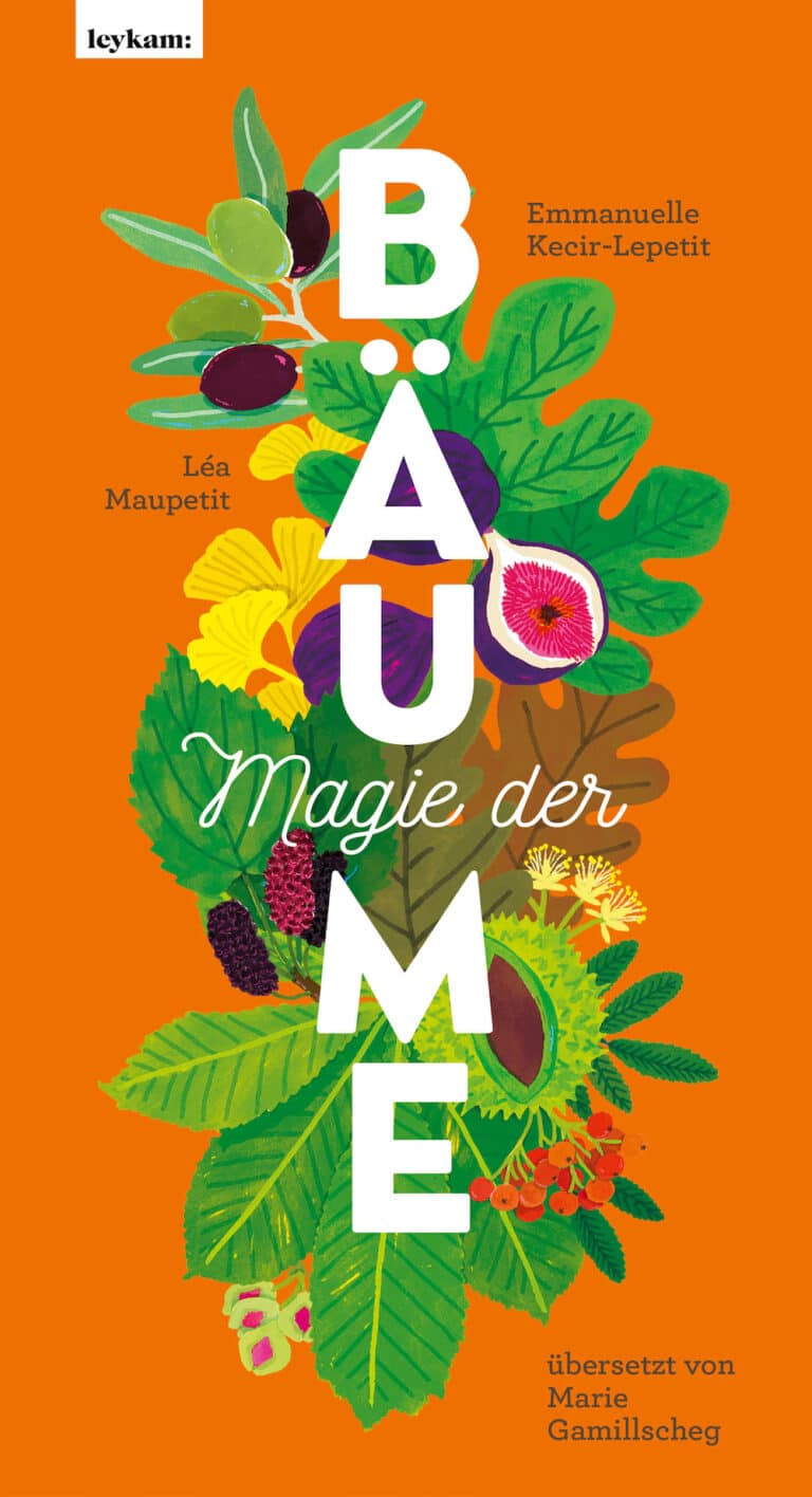 Raster in Layouts: So funktionieren Gestaltungraster › PAGE online