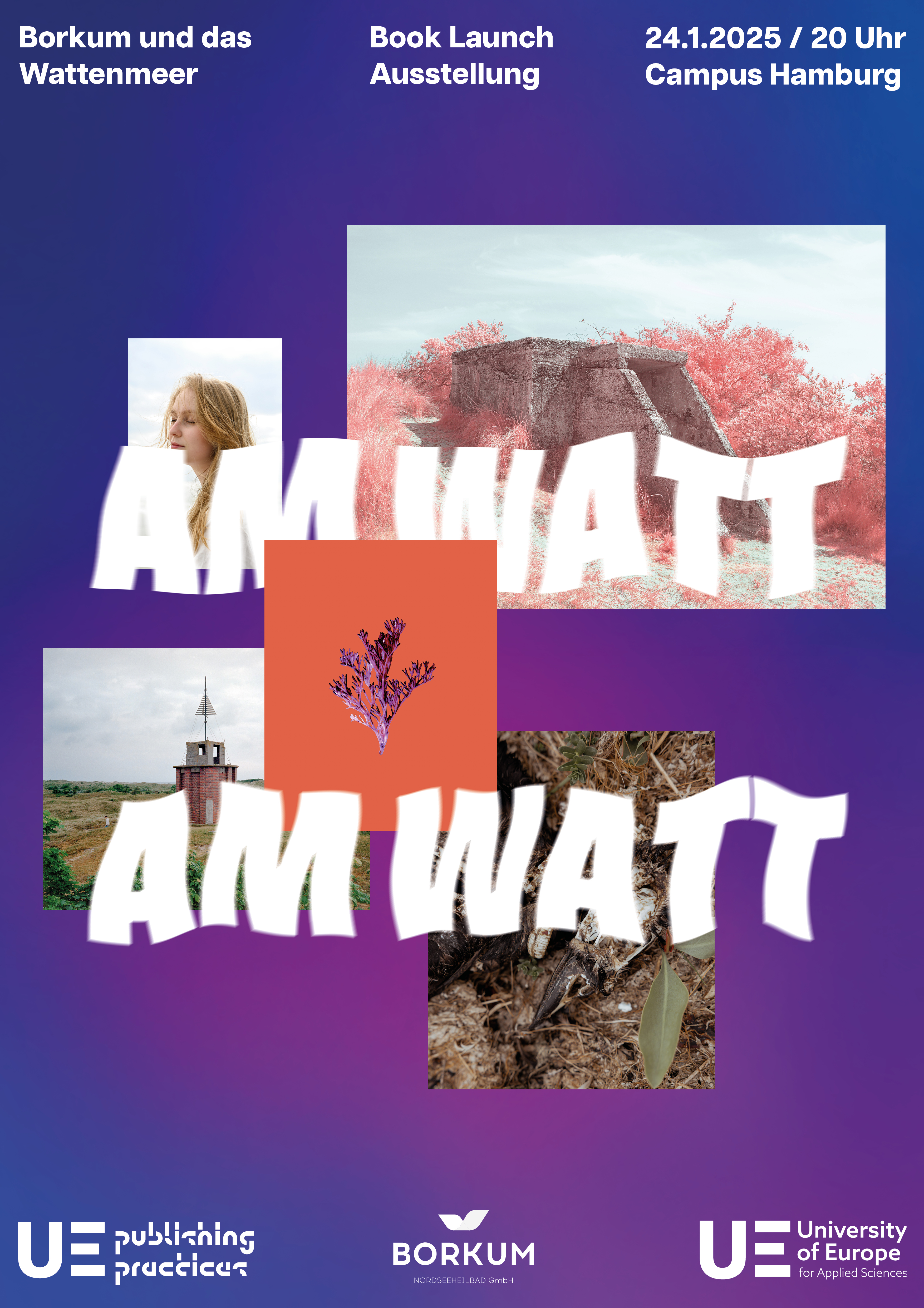 New Talents: »Am Watt« – das Weltnaturerbe aus einem neuen Blickwinkel ...