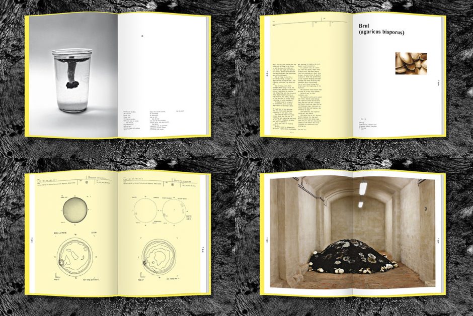 Agenturporträt: Studio K:100 | PAGE online